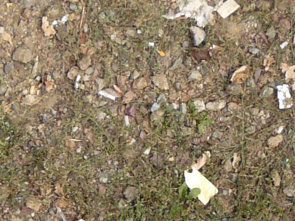 garbage on the ground texture 0014 - Texturelib